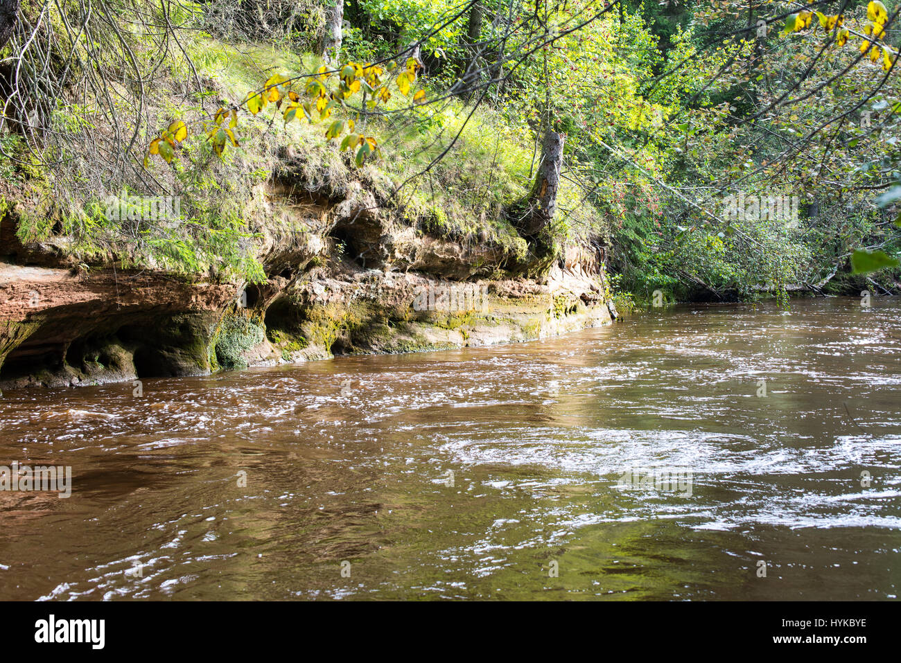 Mountain river with Flowing Water Stream and sandstone cliffs Stock ...