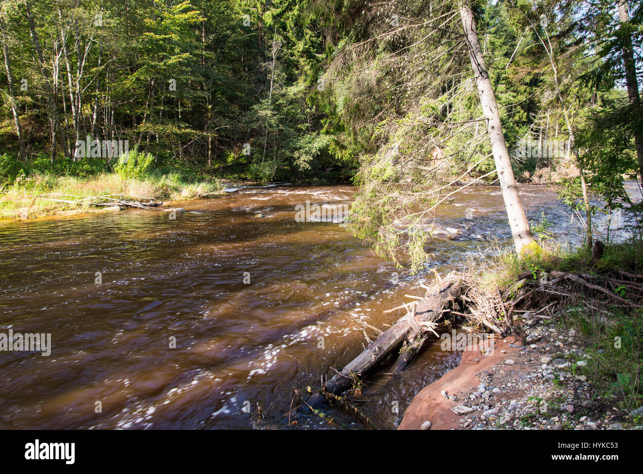Mountain river with Flowing Water Stream and sandstone cliffs Stock ...