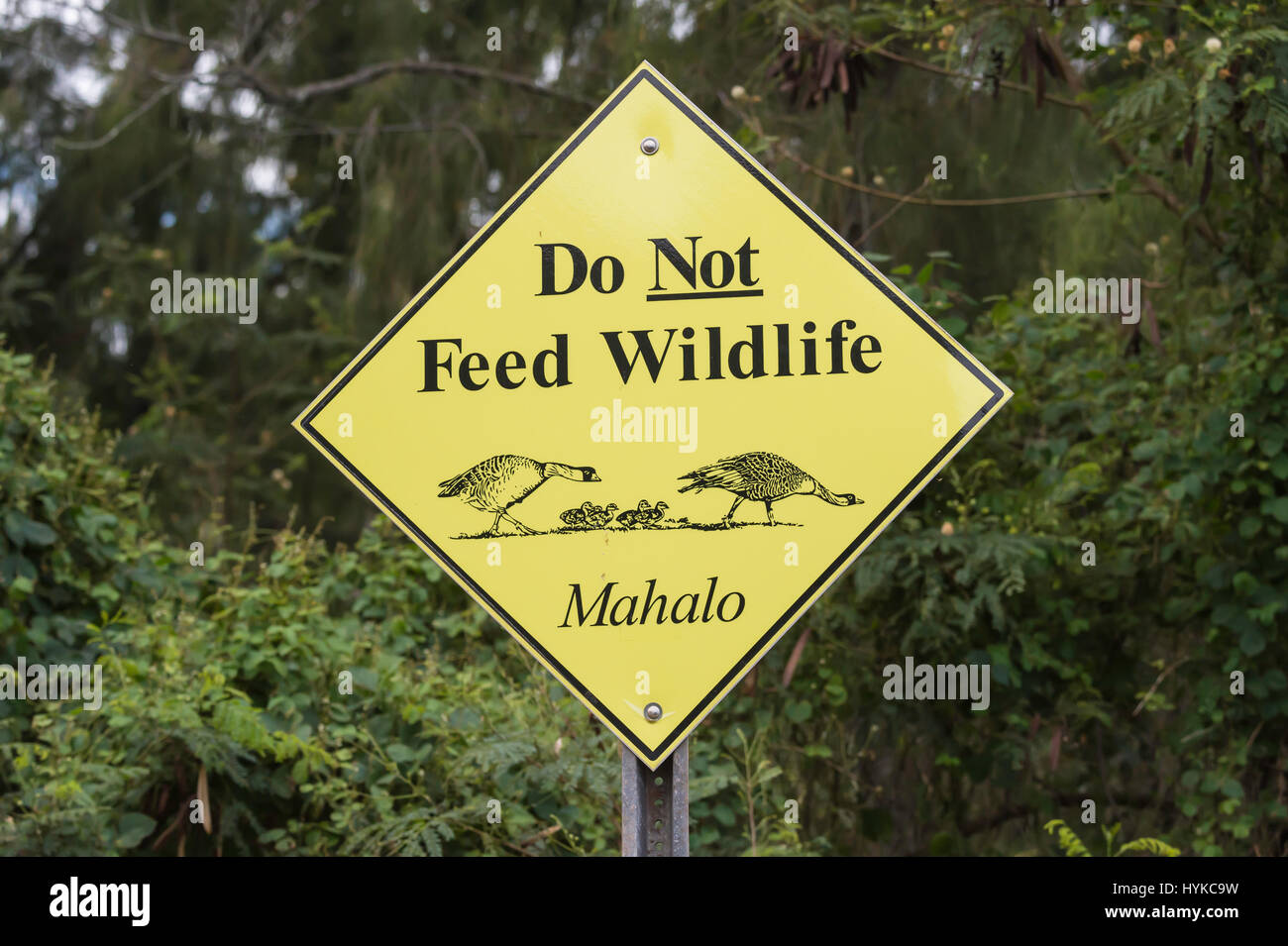 Do Not Feed Wildlife, Mahalo, sign, Kilauea Point National Wildlife ...