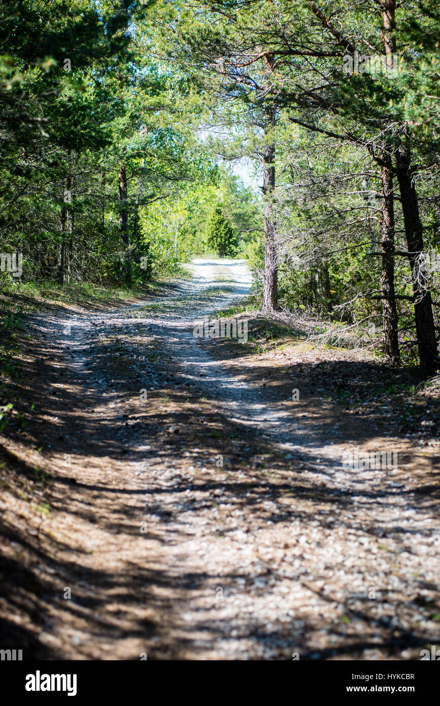 simple country road in summer at countryside with trees around Stock ...