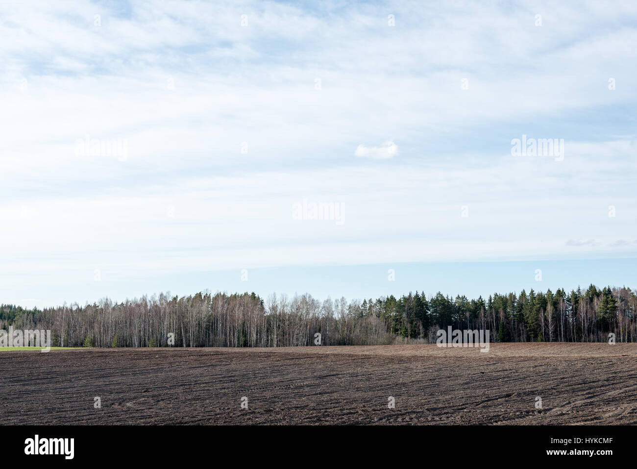 Cultivated field in early spring day in countryside Stock Photo - Alamy