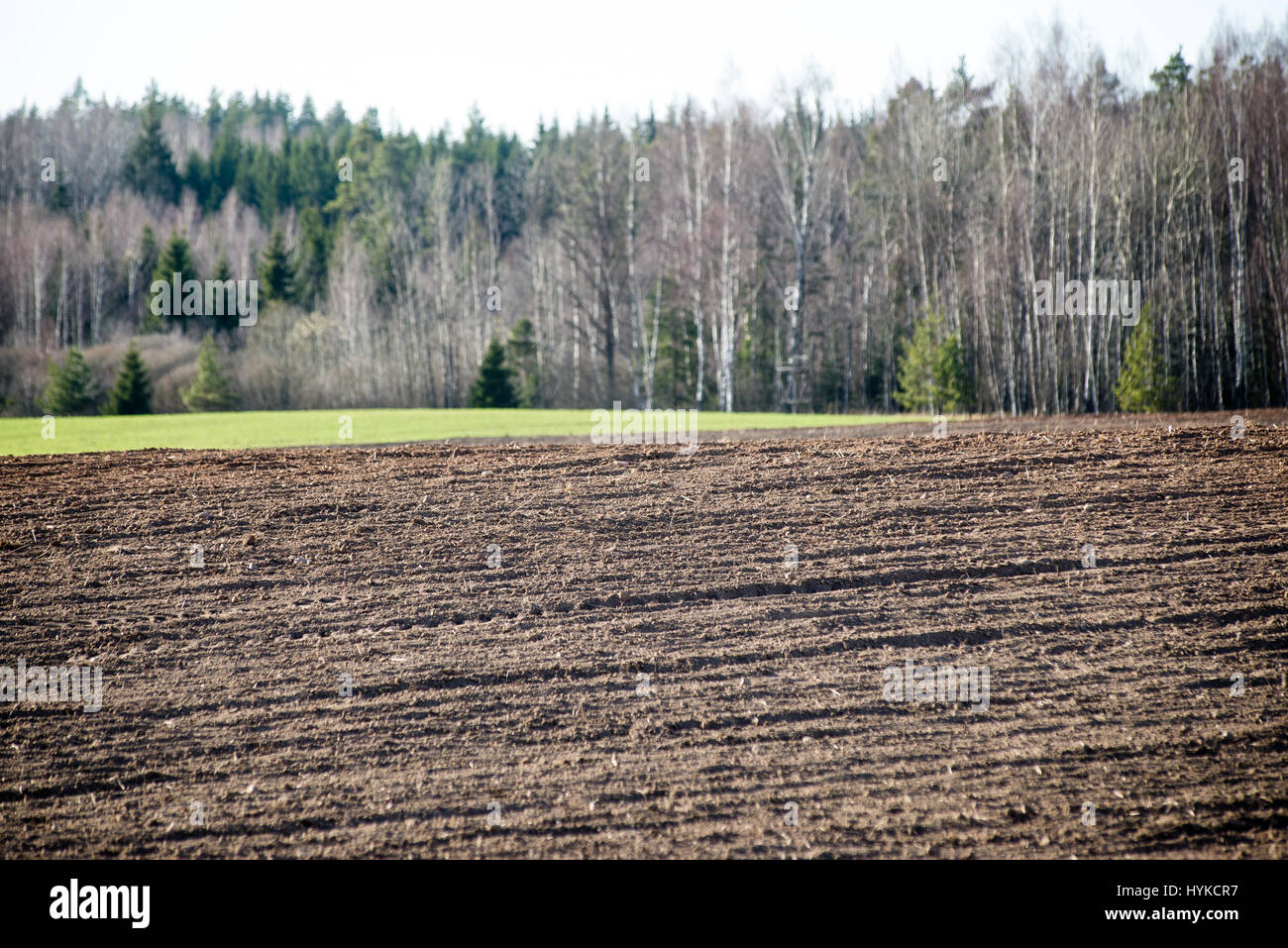 Cultivated field in early spring day in countryside Stock Photo - Alamy