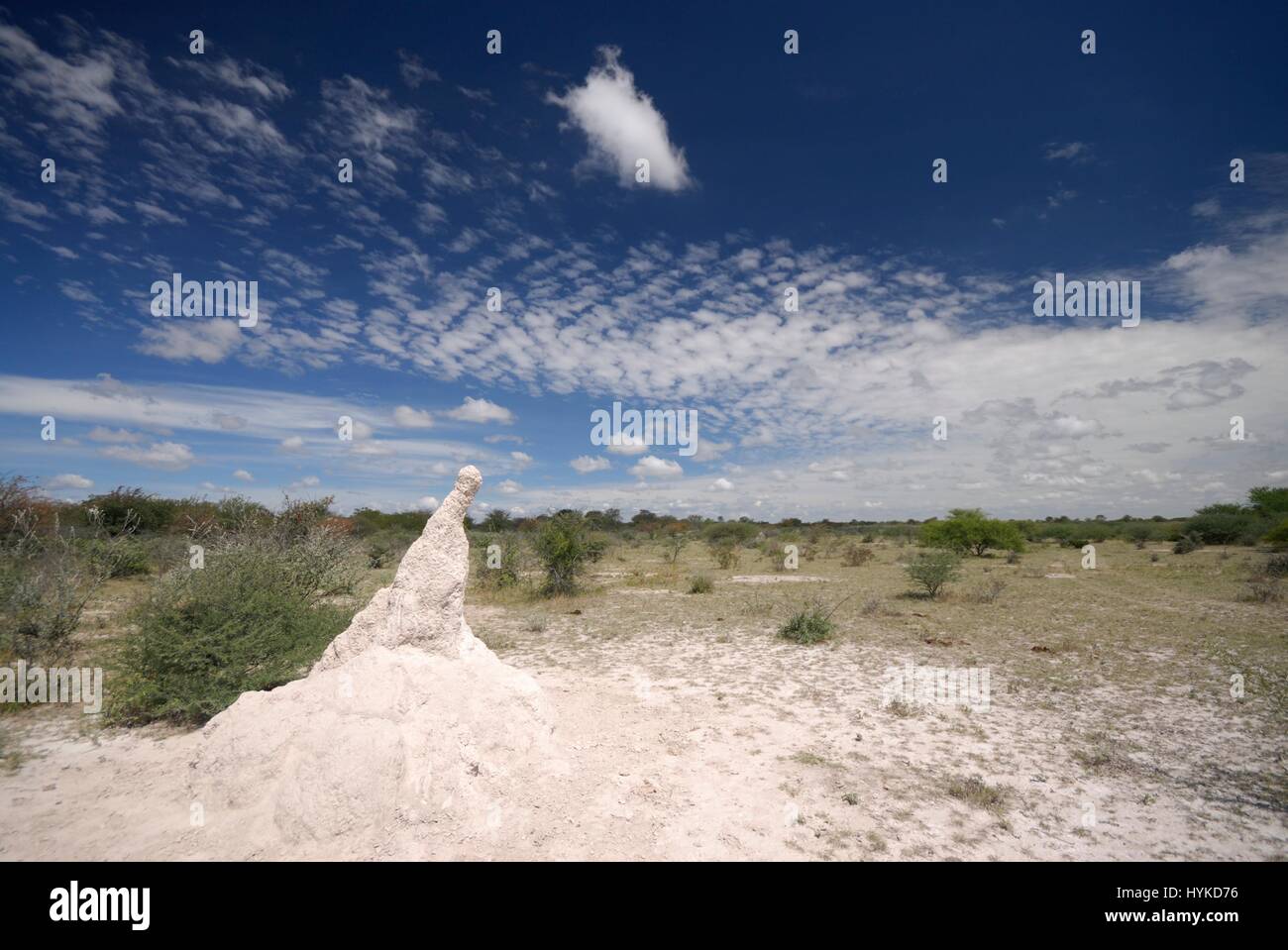 Orapa hi-res stock photography and images - Alamy