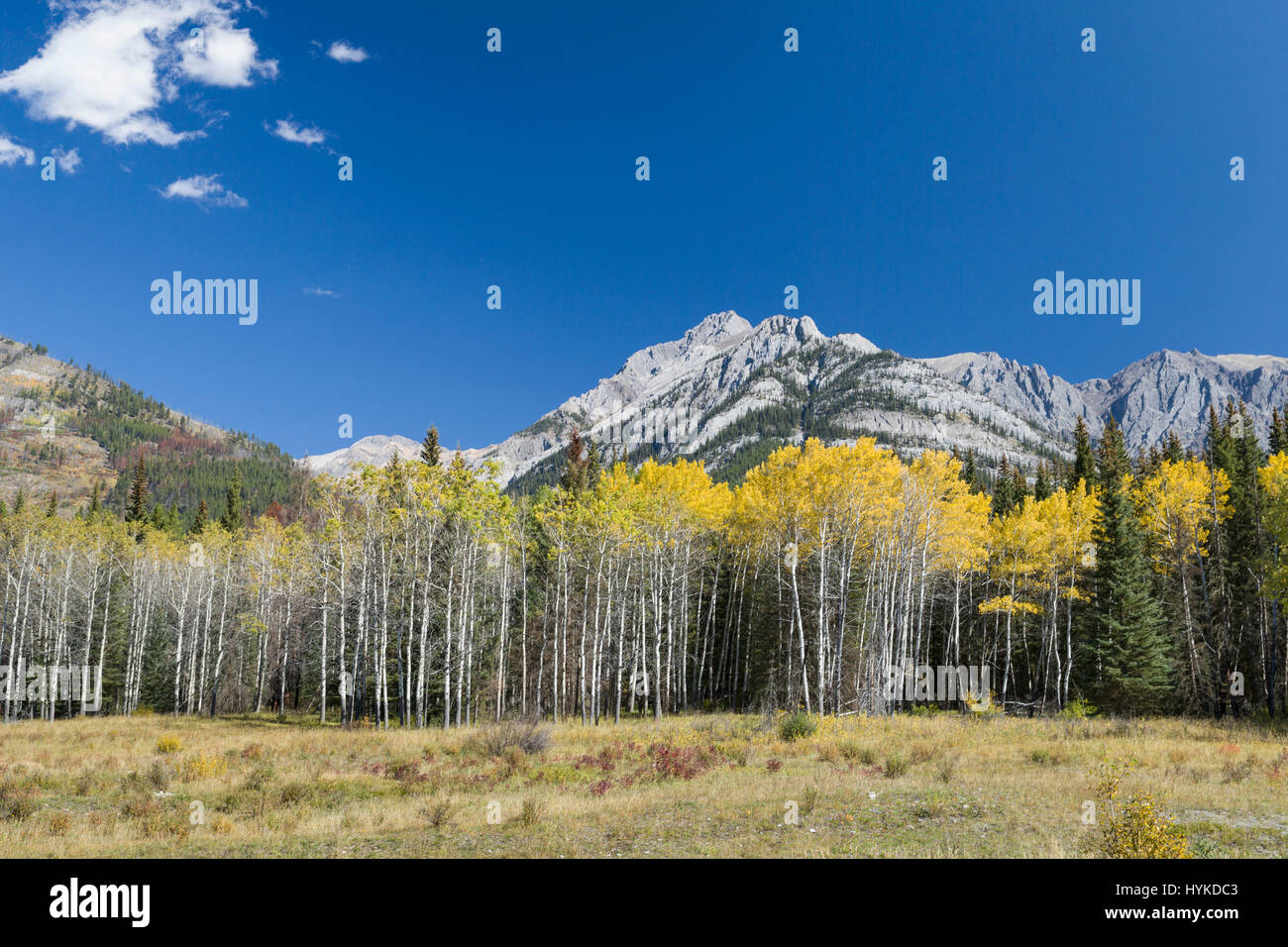 Fall foliage banff hi-res stock photography and images - Alamy