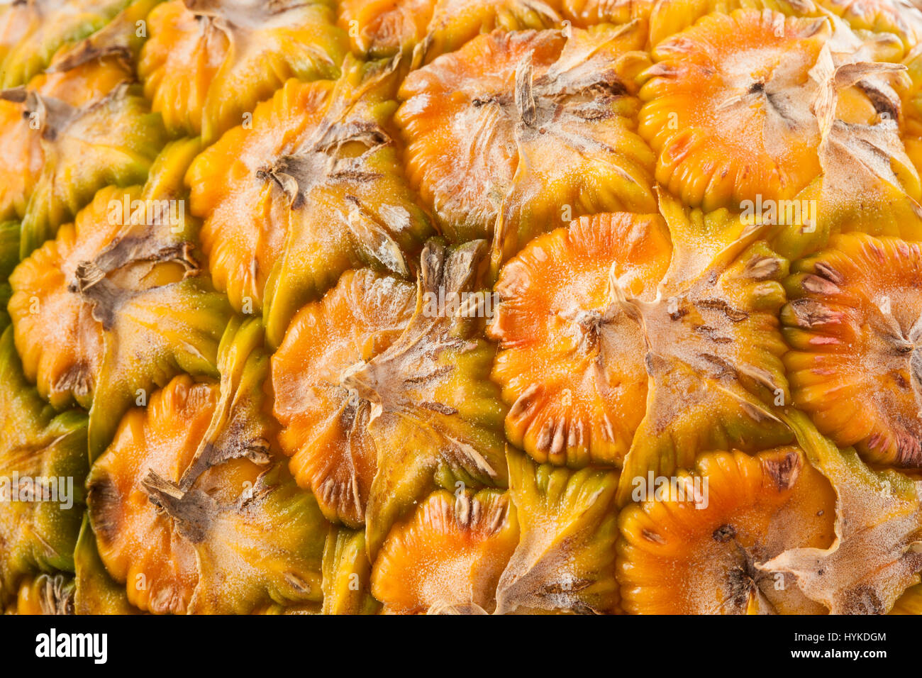 Shell texture hi-res stock photography and images - Alamy