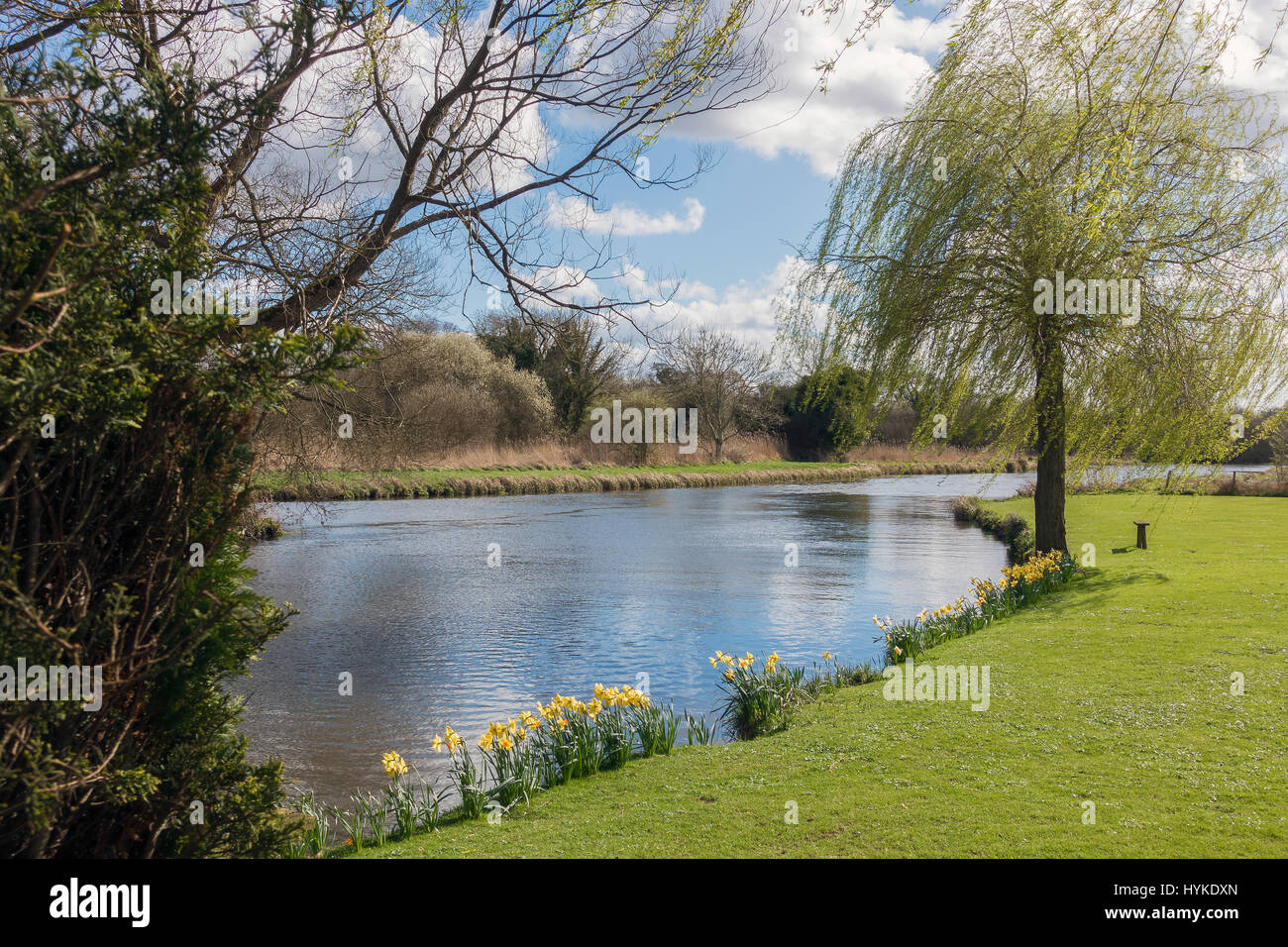 Sunny riverbank in hampshire hi-res stock photography and images - Alamy