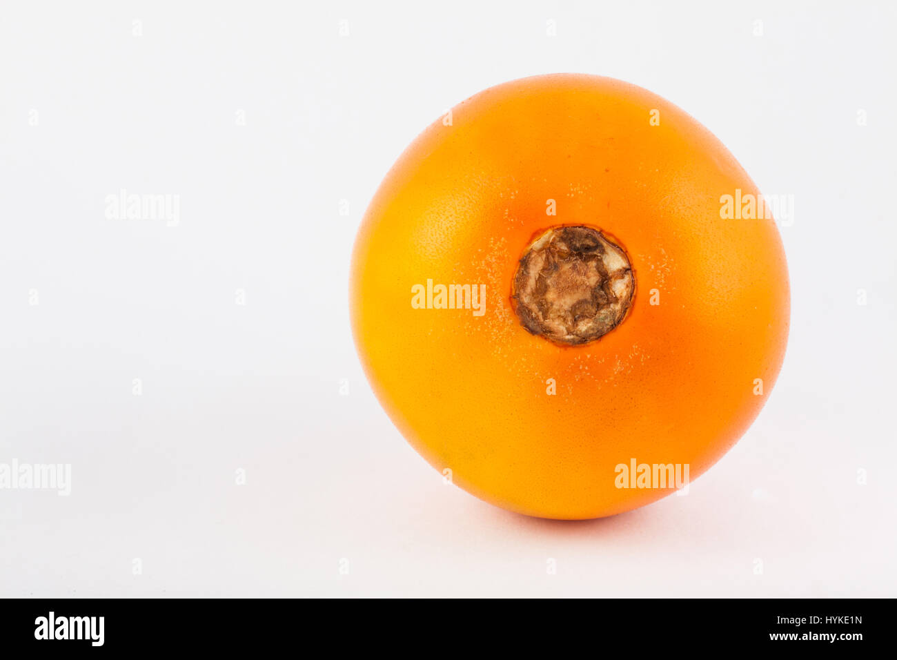 Lulo (Solanum quitoense) on white background Stock Photo - Alamy