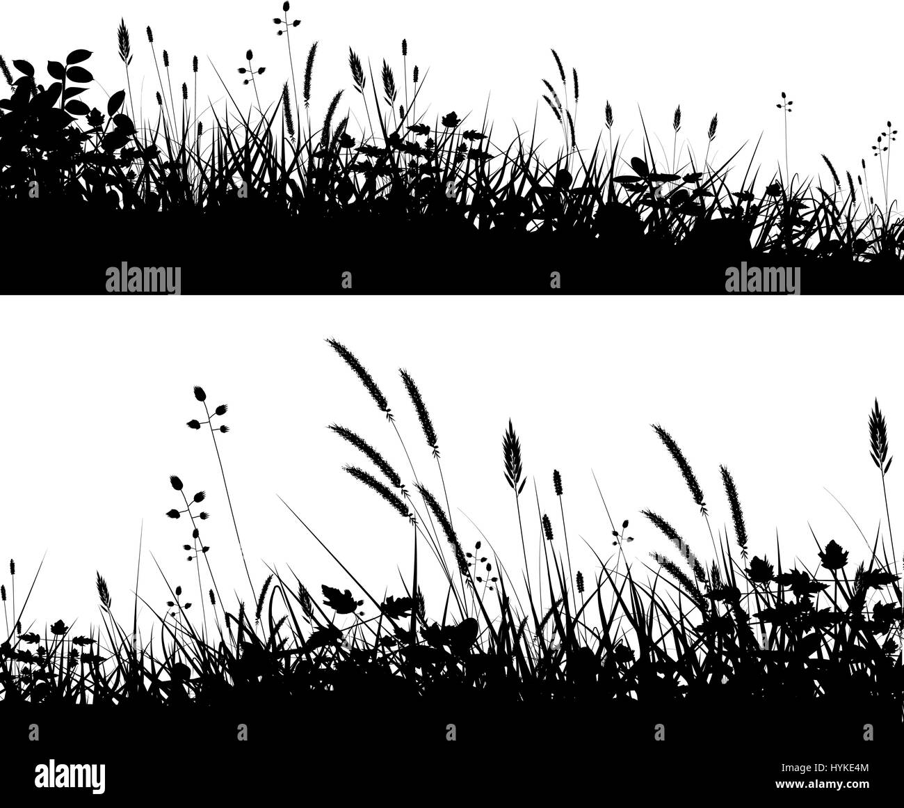 Hay meadow in summer Black and White Stock Photos & Images - Alamy