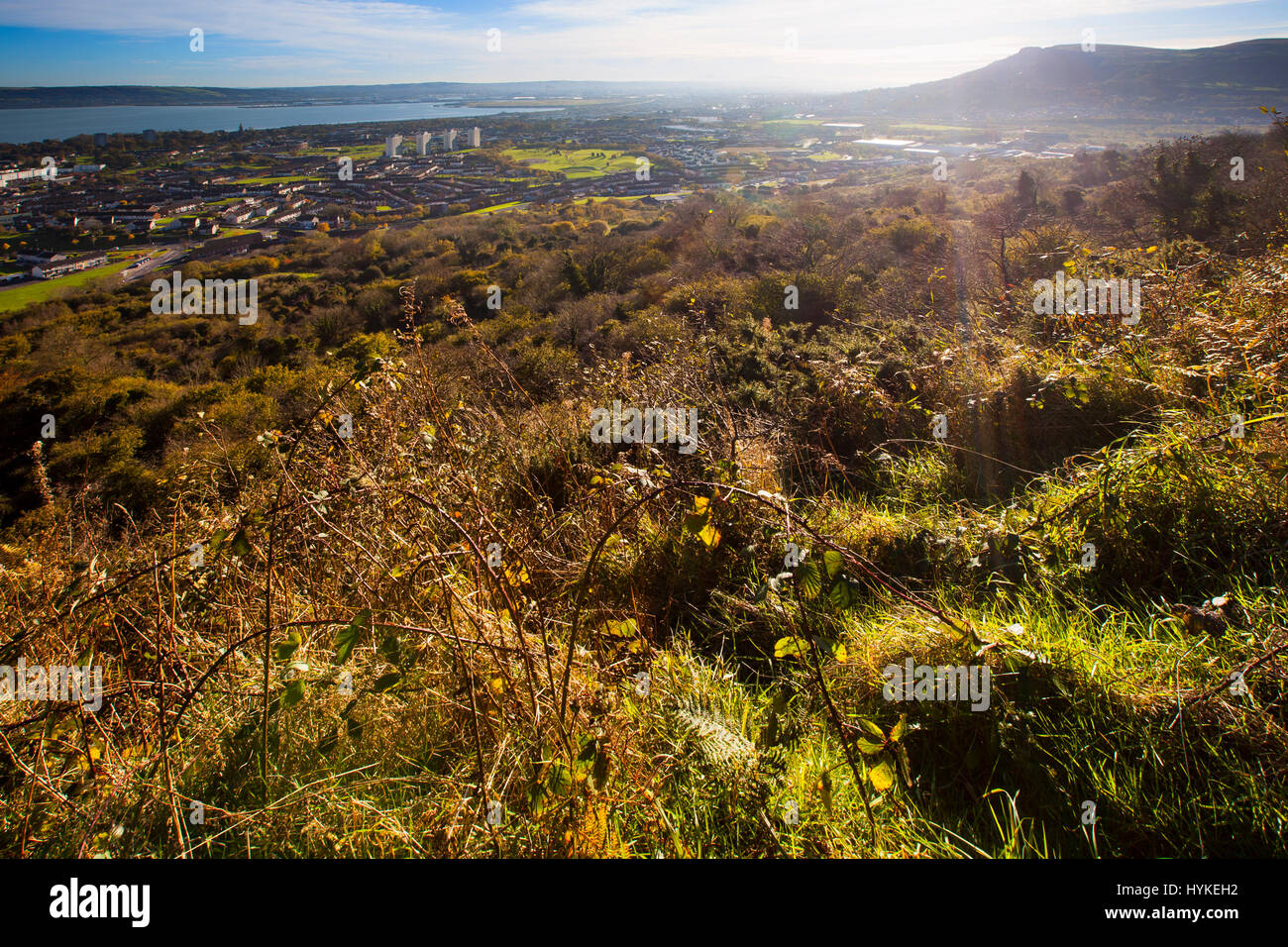 Newtownabbey hi-res stock photography and images - Alamy