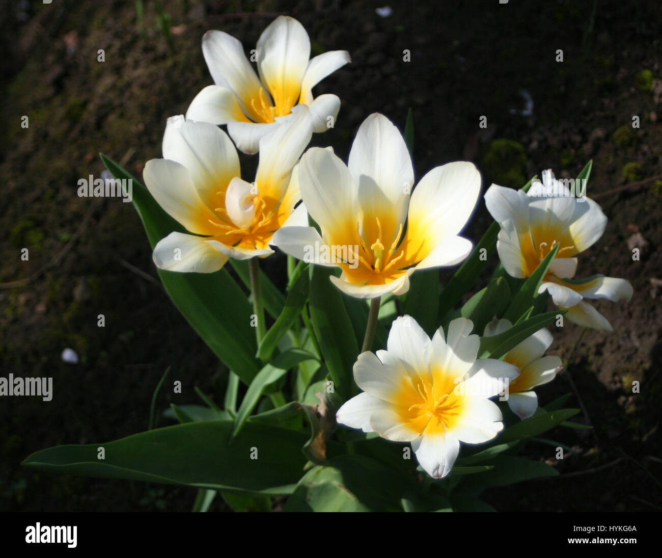 Scarborough bridges hi-res stock photography and images - Alamy