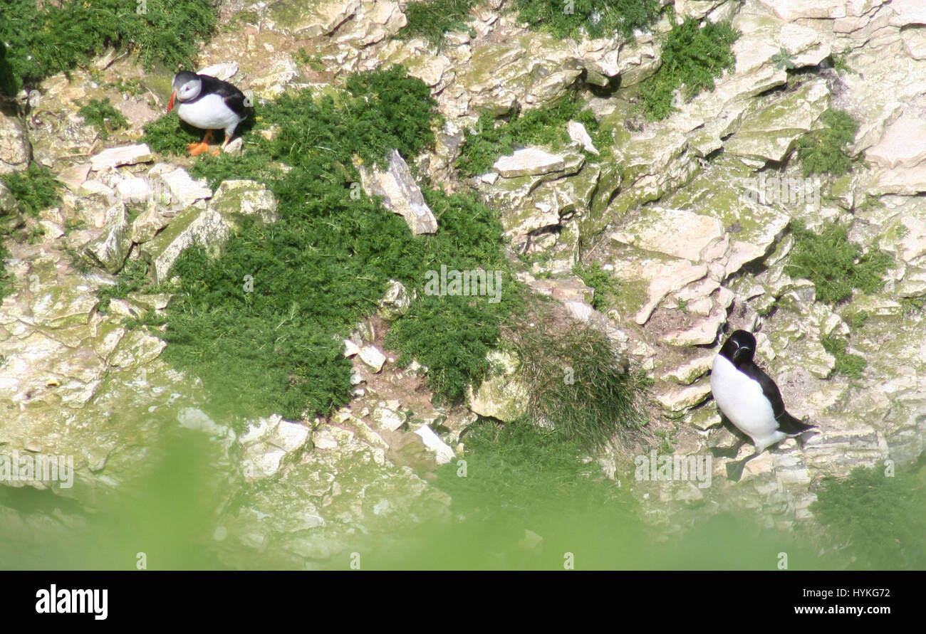 Reserva natural rspb hi-res stock photography and images - Alamy
