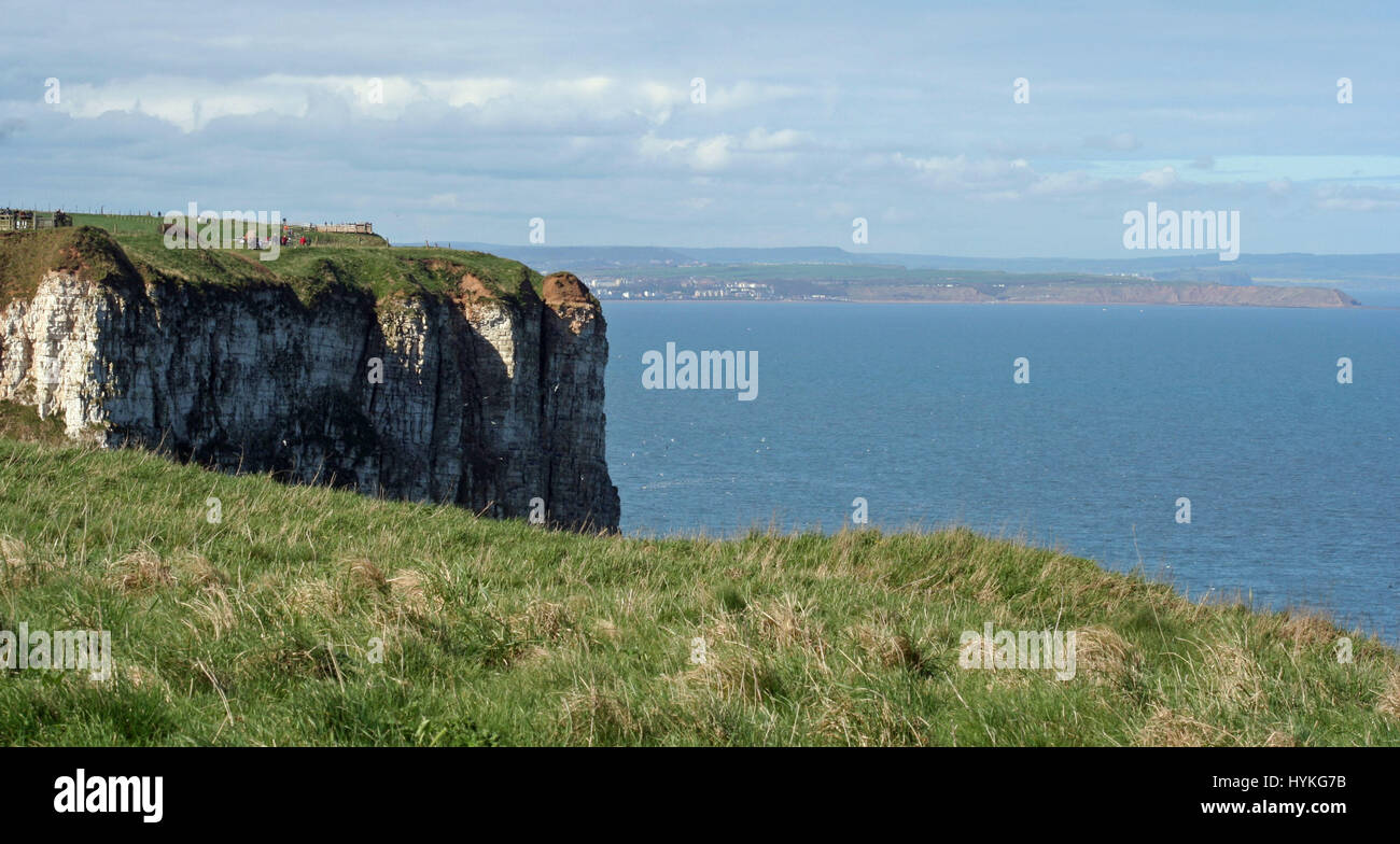 RSPB Reserve Bempton Cliffs Stock Photo - Alamy