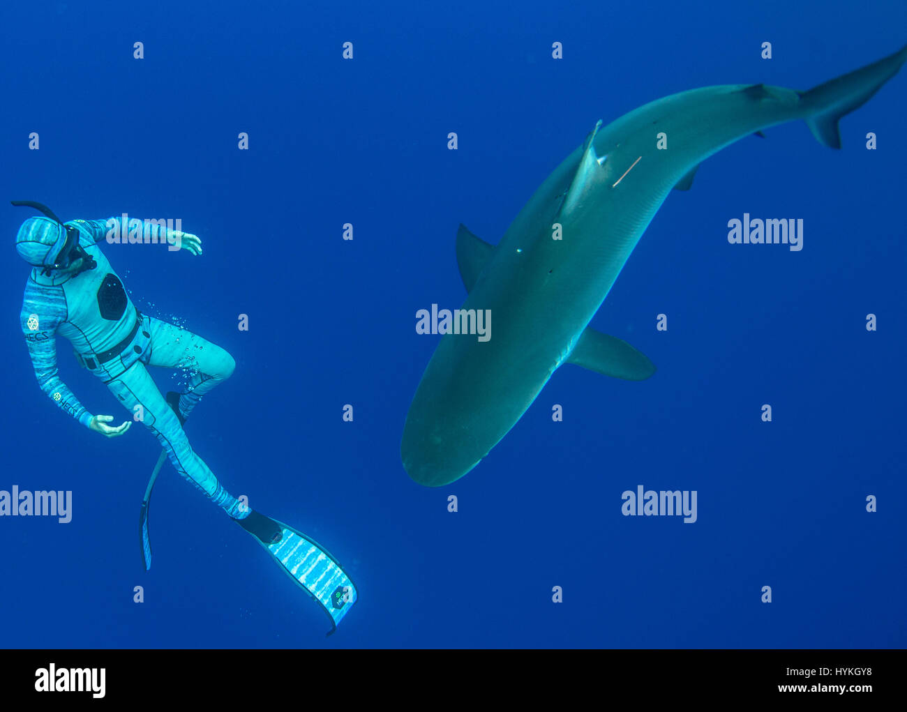 Marine Biologist Riley Elliott testing the suit out with a sandbar and ...