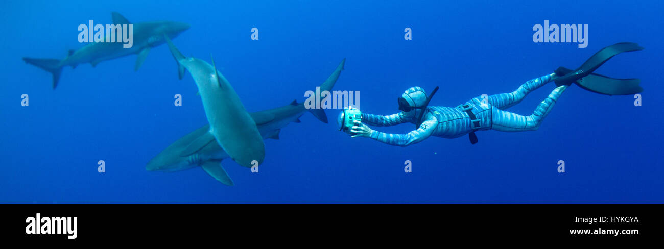 Marine Biologist Riley Elliott testing the suit out with a sandbar and ...