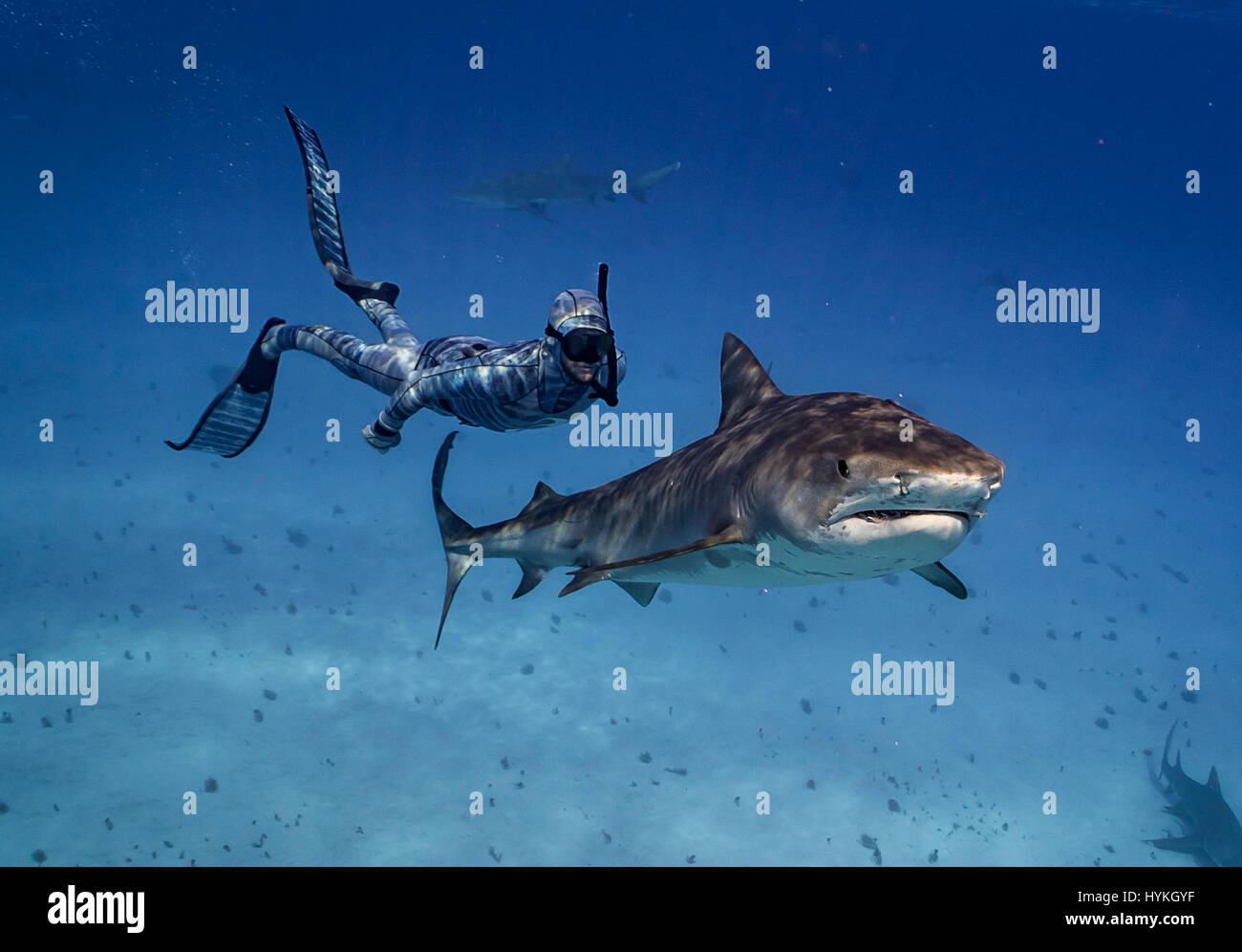 Marine Biologist With Shark