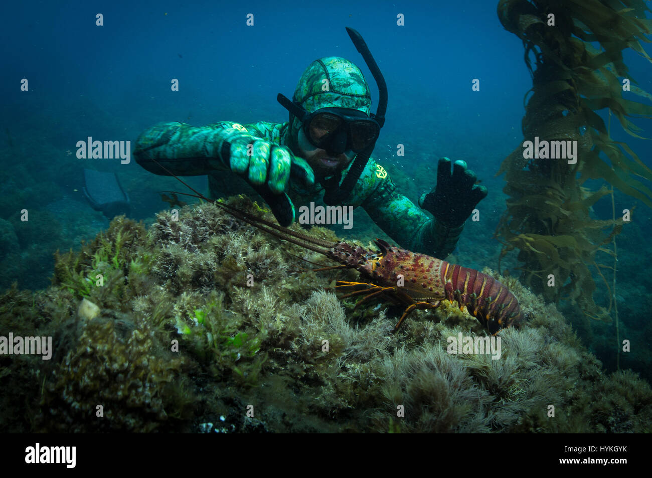 Marine Biologist Riley Elliott testing the suit out.SCIENTISTS have ...