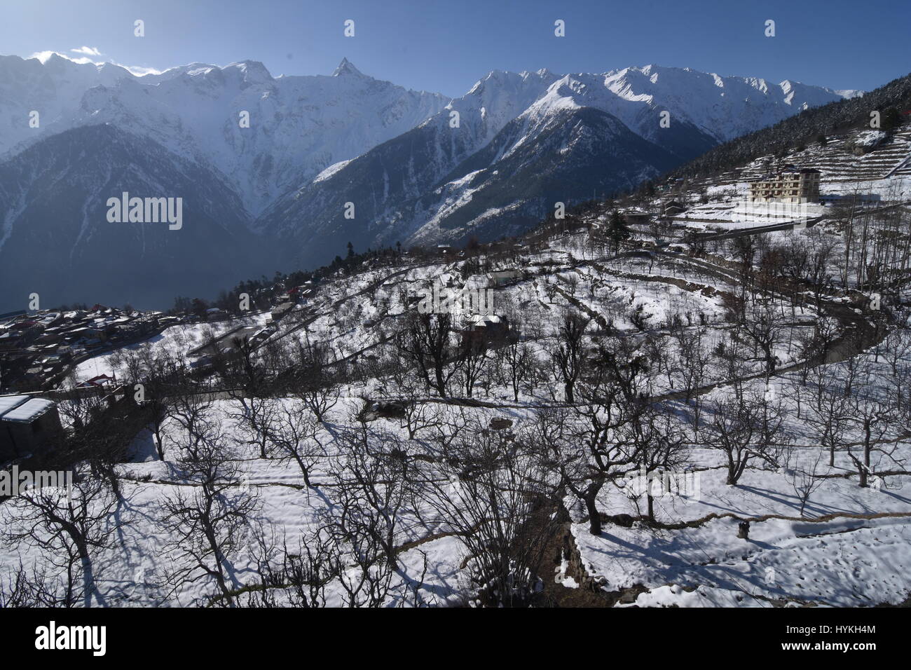 Winter landscape, Kalpa, Kinnaur, Himachal Pradesh, India Stock Photo ...