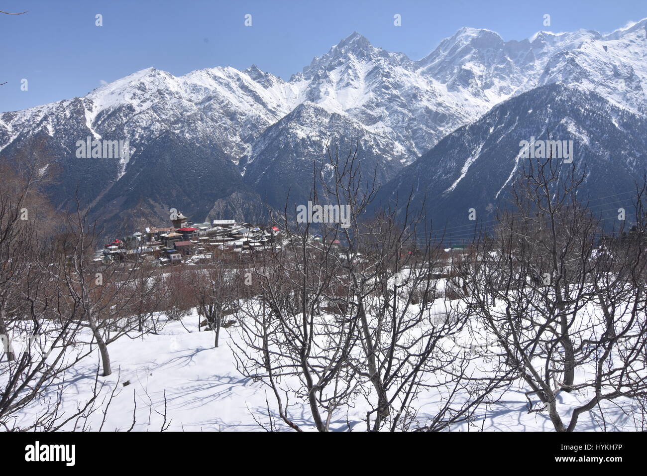 Winter landscape, Kalpa, Kinnaur, Himachal Pradesh, India Stock Photo ...