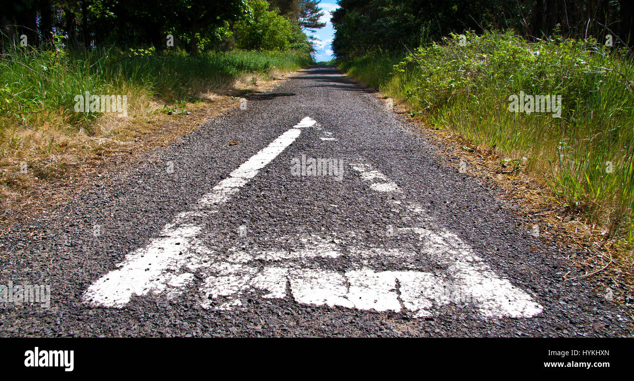 ARDEER, SCOTLAND: TAKE A rare look inside the Scottish birthplace of ...