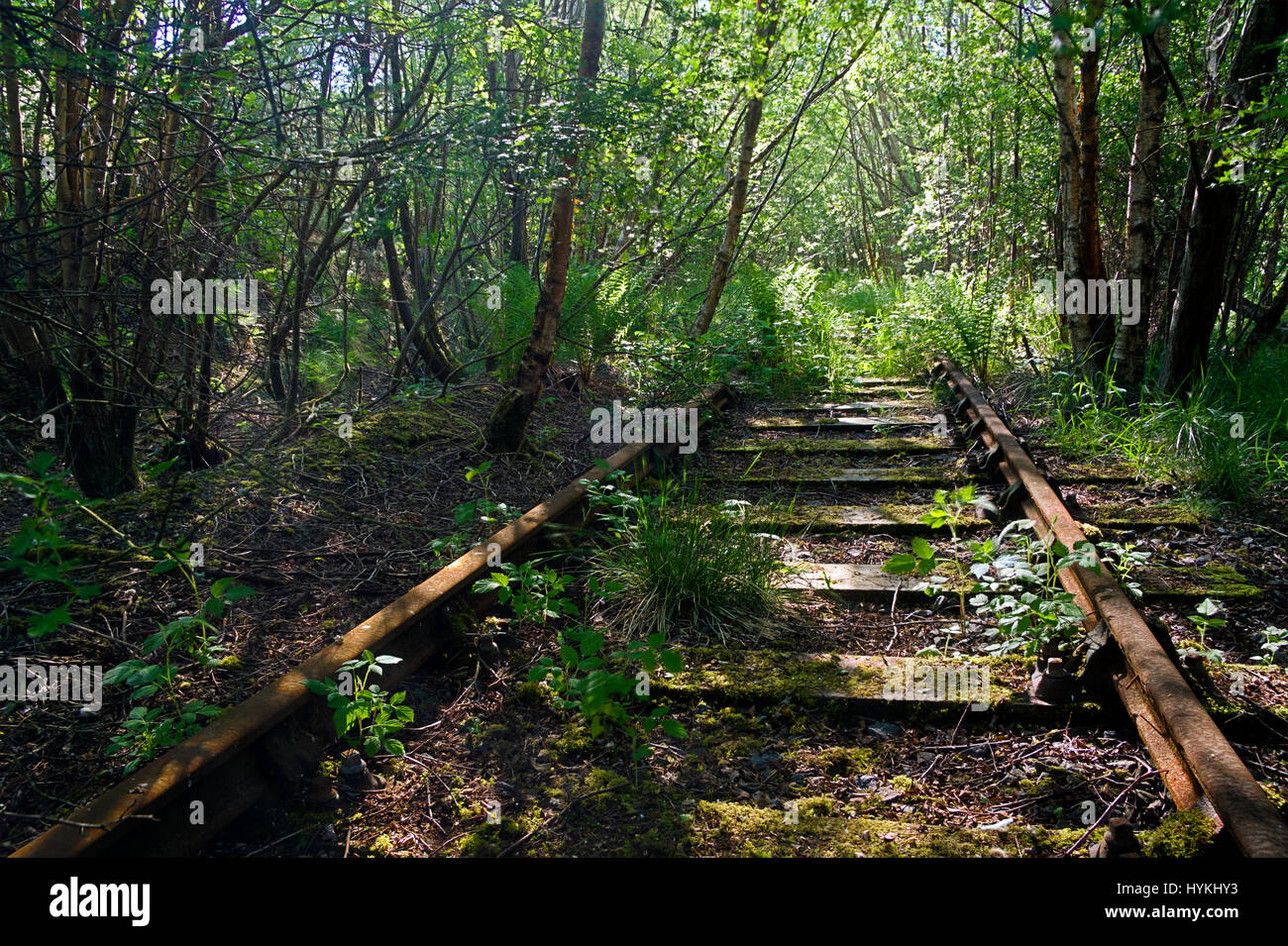 ARDEER, SCOTLAND: TAKE A rare look inside the Scottish birthplace of ...