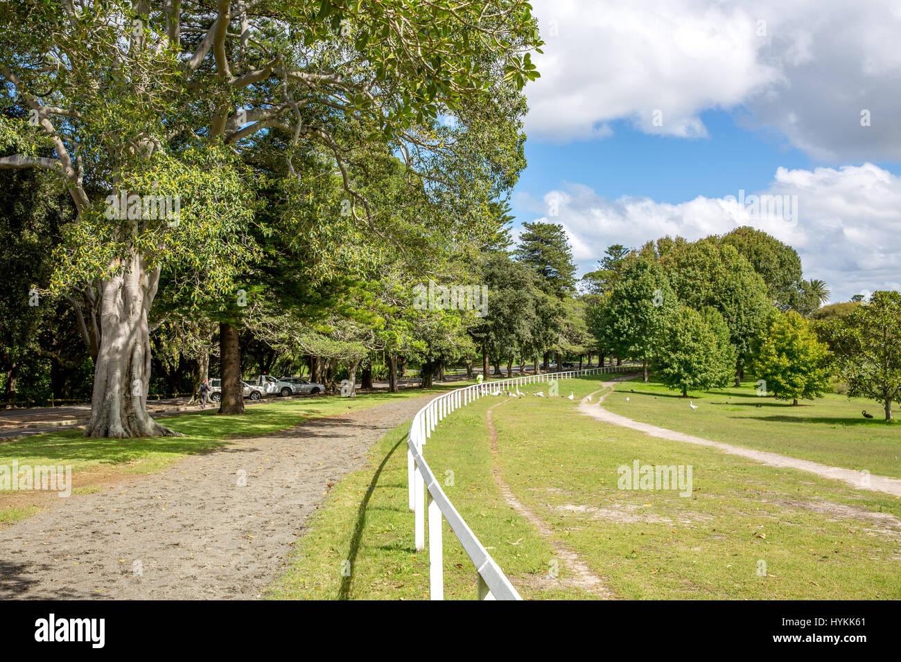 Open green space hi-res stock photography and images - Alamy