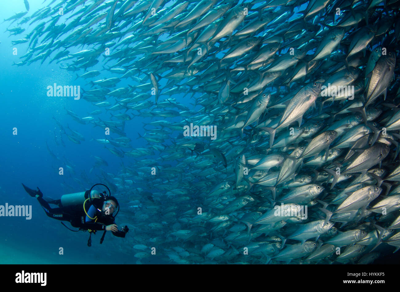 CABO PULMO NATIONAL PARK, MEXICO: FEAST your eyes on a twenty thousand ...