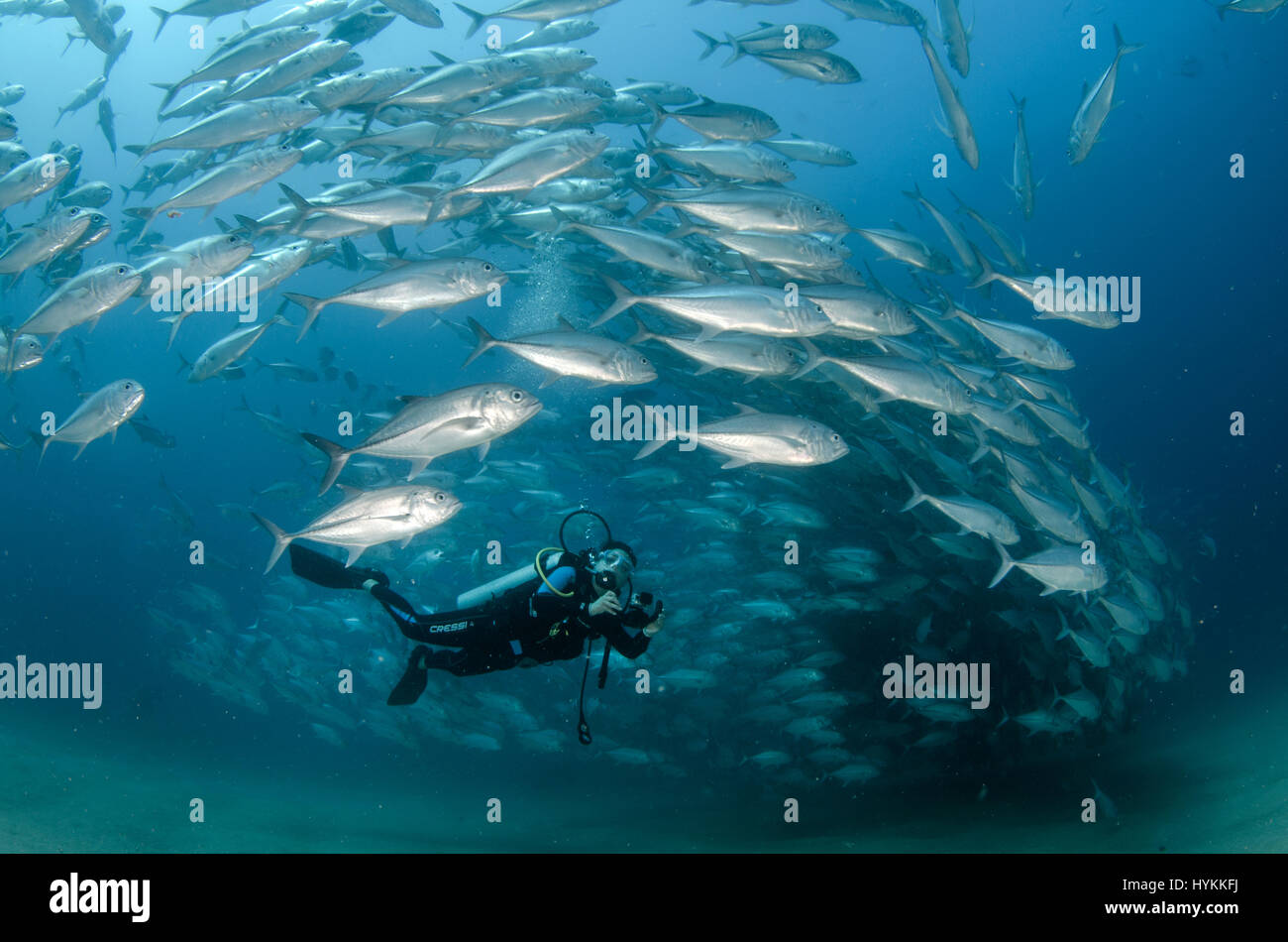 CABO PULMO NATIONAL PARK, MEXICO: FEAST your eyes on a twenty thousand ...