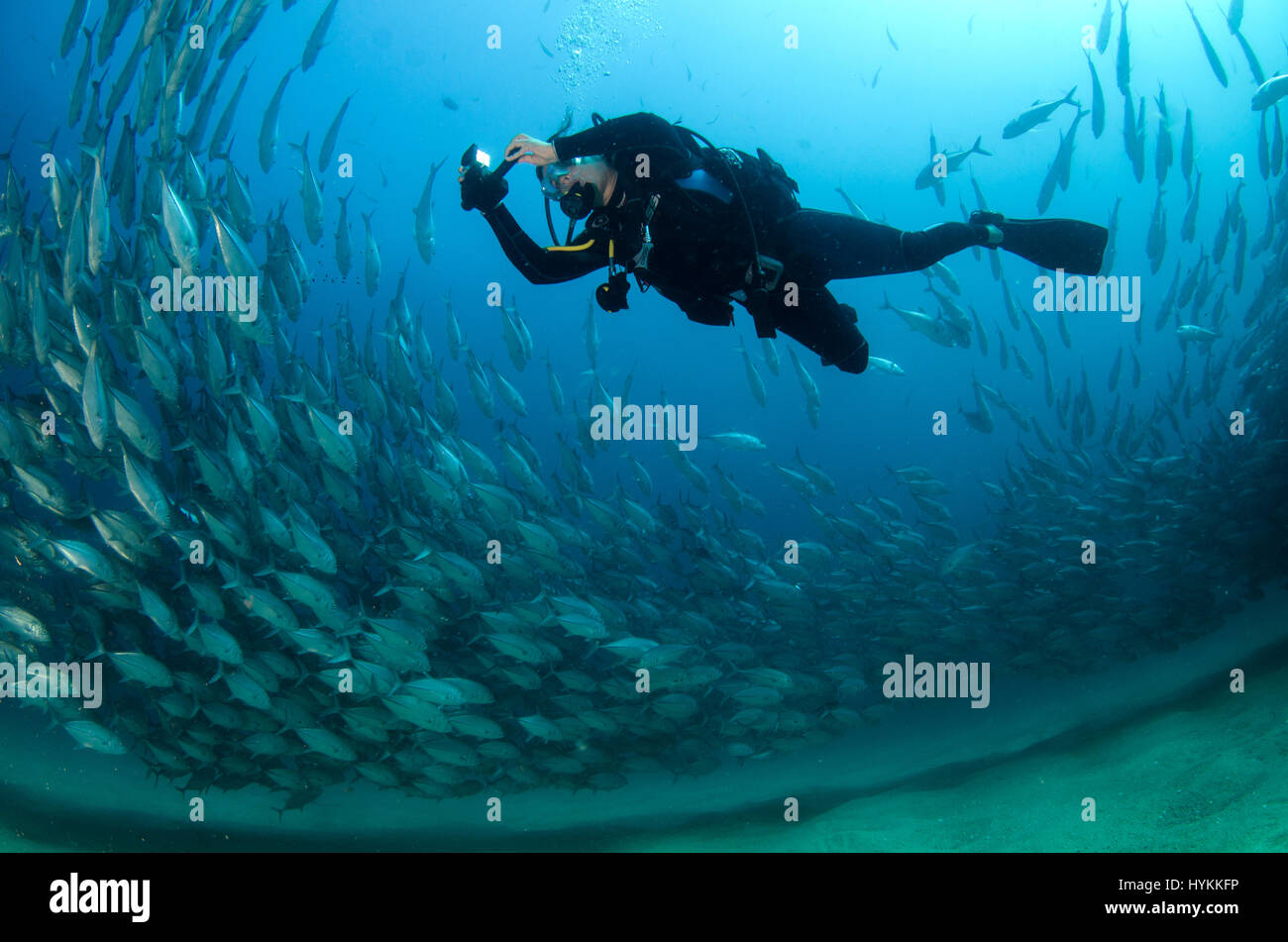 CABO PULMO NATIONAL PARK, MEXICO: FEAST your eyes on a twenty thousand ...