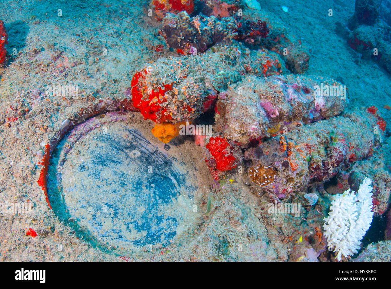 SPECTACULAR underwater pictures have revealed the 600-foot long remains ...