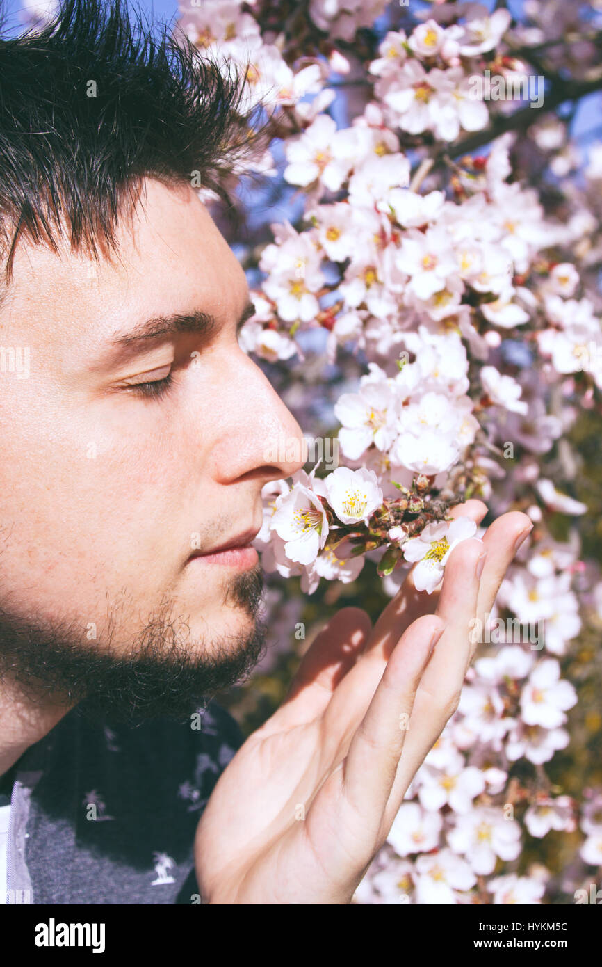 Person smelling the cherry blossom hi-res stock photography and images ...