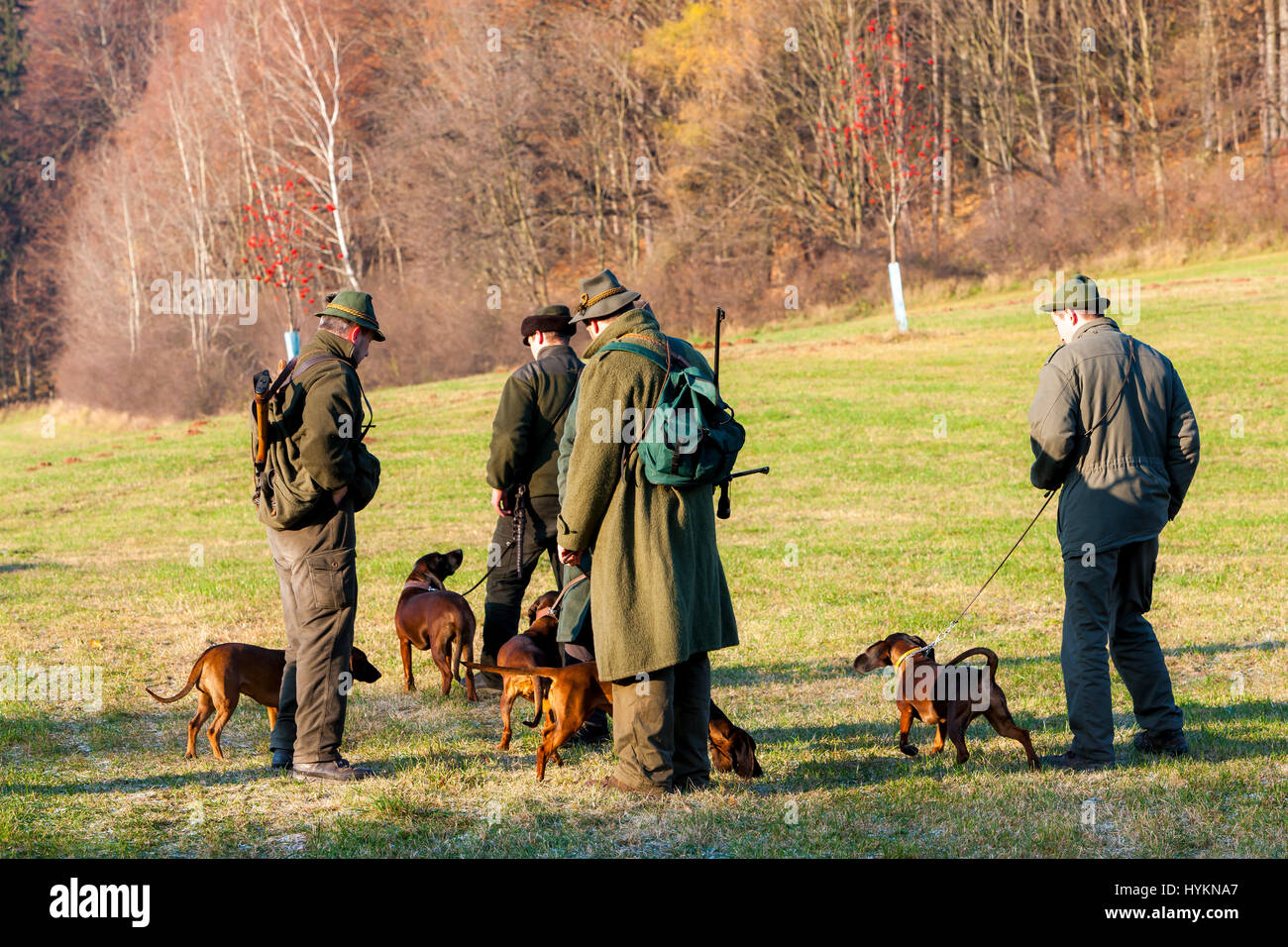 hunters with their hunting dogs Stock Photo - Alamy