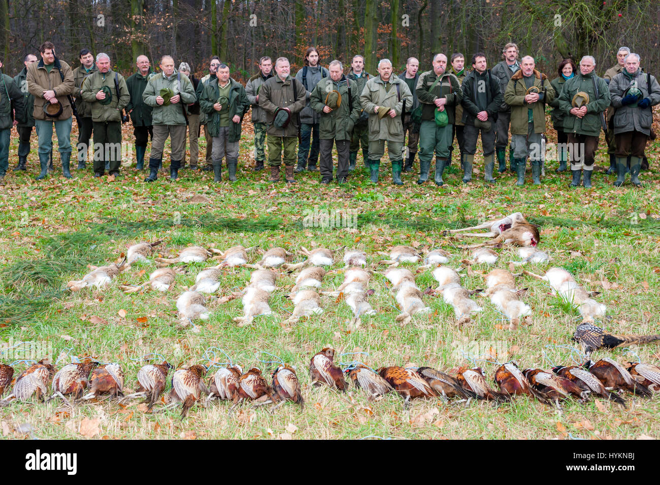 Deer And Pheasant High Resolution Stock Photography and Images - Alamy