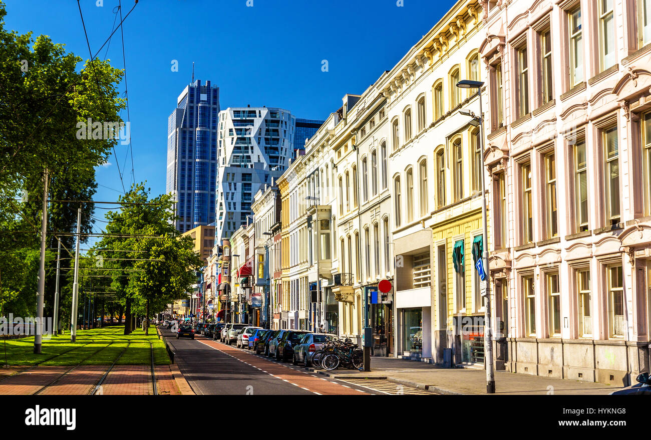 Mauritsweg street in Rotterdam - the Netherlands Stock Photo - Alamy