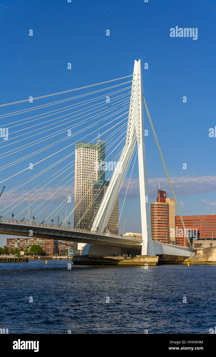 View of Erasmus Bridge in Rotterdam, Netherlands Stock Photo - Alamy