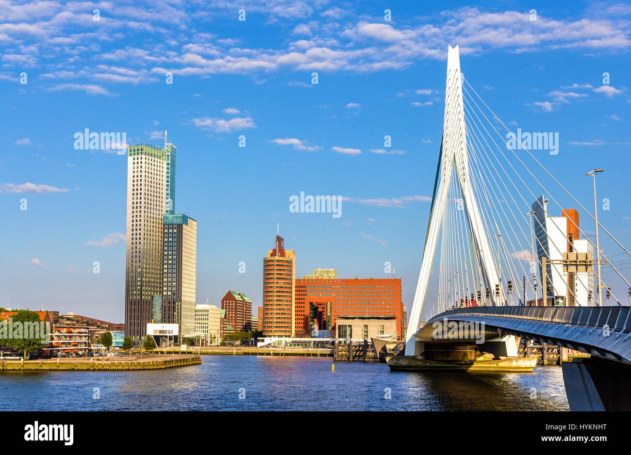 View of Erasmus Bridge in Rotterdam, Netherlands Stock Photo - Alamy