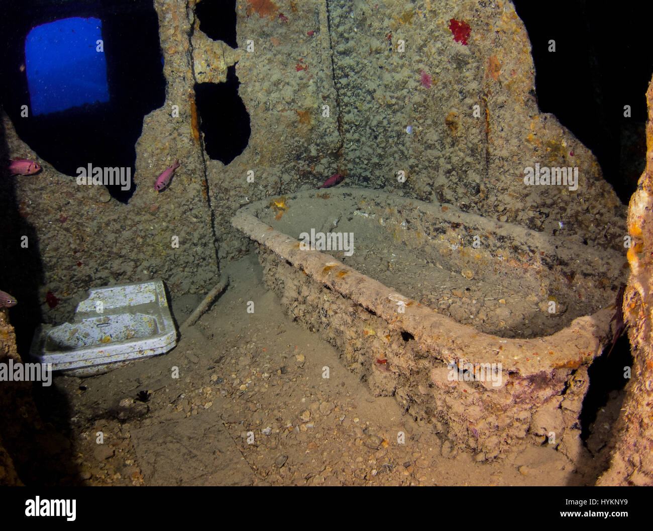 RED SEA, EGYPT: The sunken ship's bathroom, including a bath tub and ...