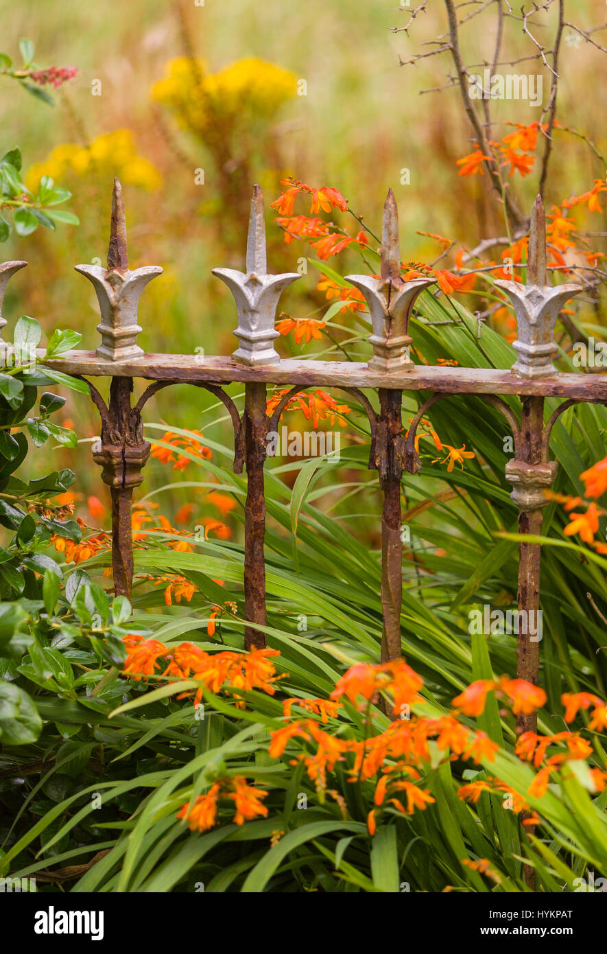 DONEGAL, IRELAND - flowers and iron gate Stock Photo - Alamy