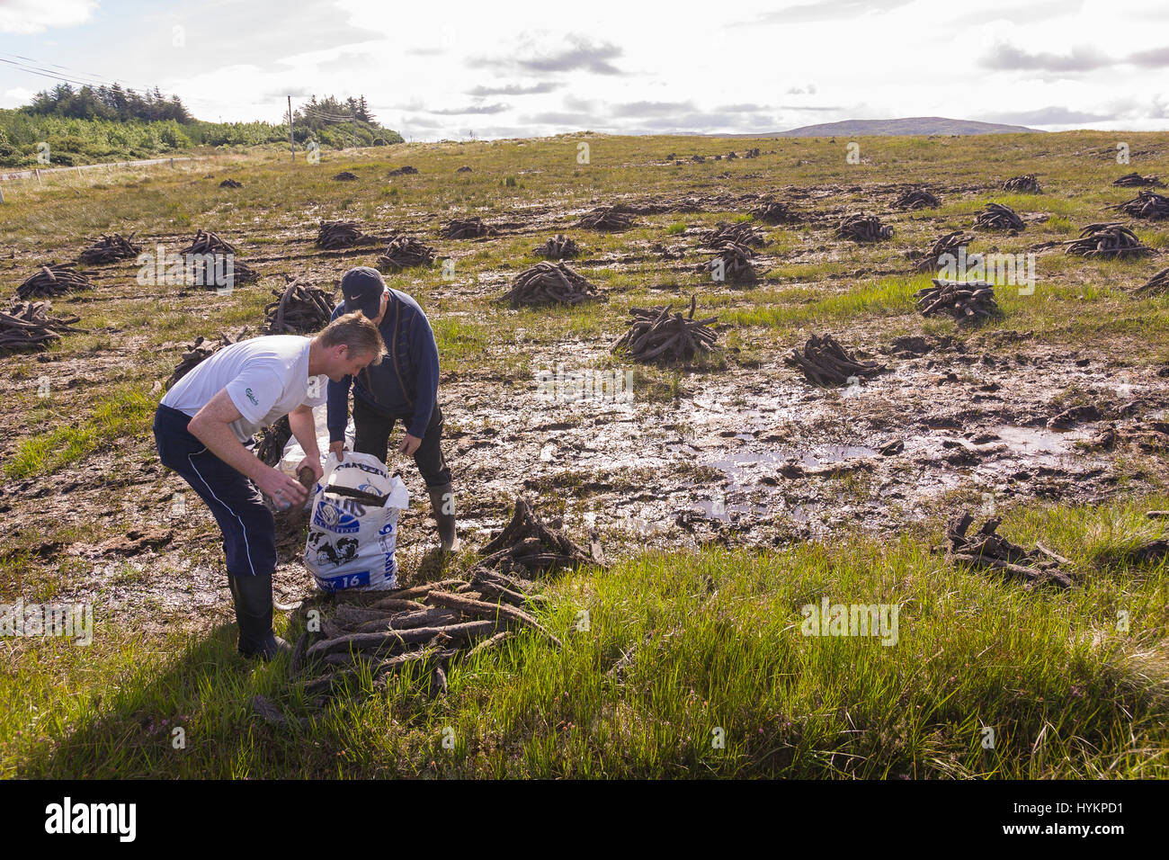 DONEGAL, IRELAND - Farmers harvest peat for fuel, in peatland bog Stock ...