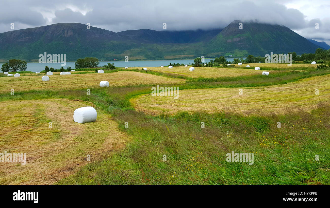 Andoya vesteralen hi-res stock photography and images - Alamy