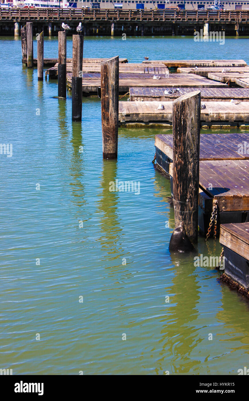 San francisco california visual hi-res stock photography and images - Alamy