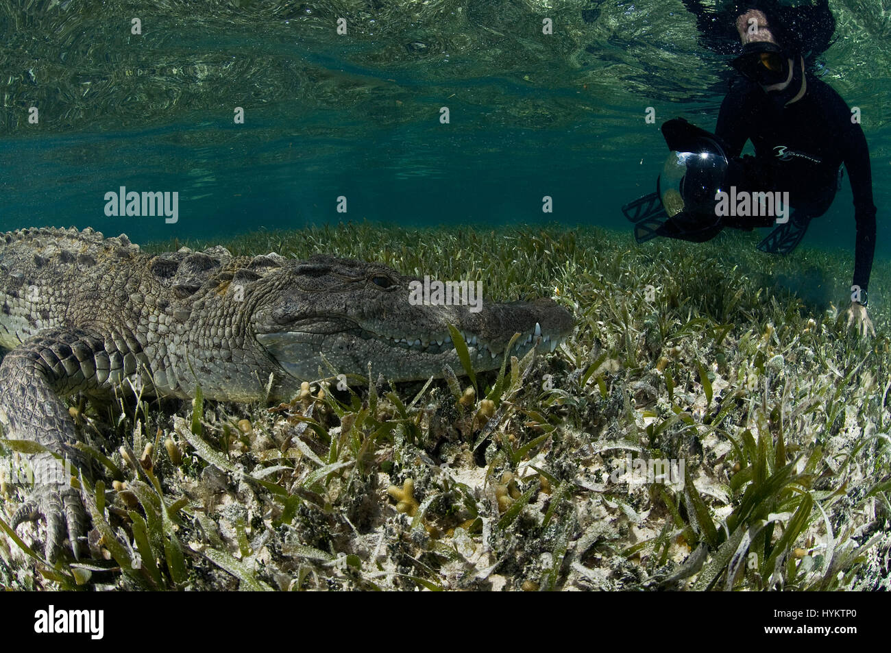 Chinchorro banks hi-res stock photography and images - Alamy