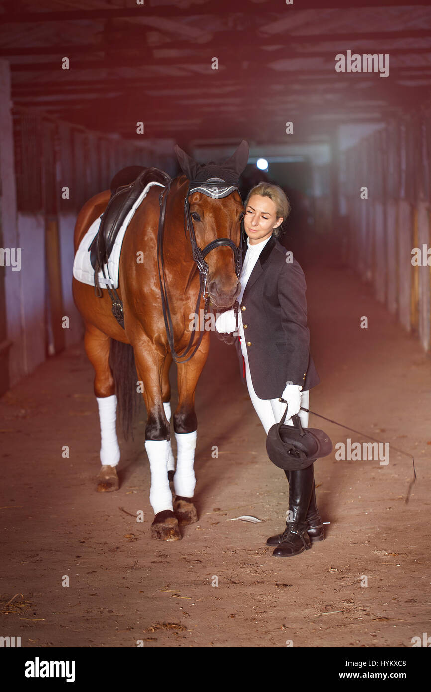 Portrait of a Girl rider near her brown horse. get ready for rid Stock ...