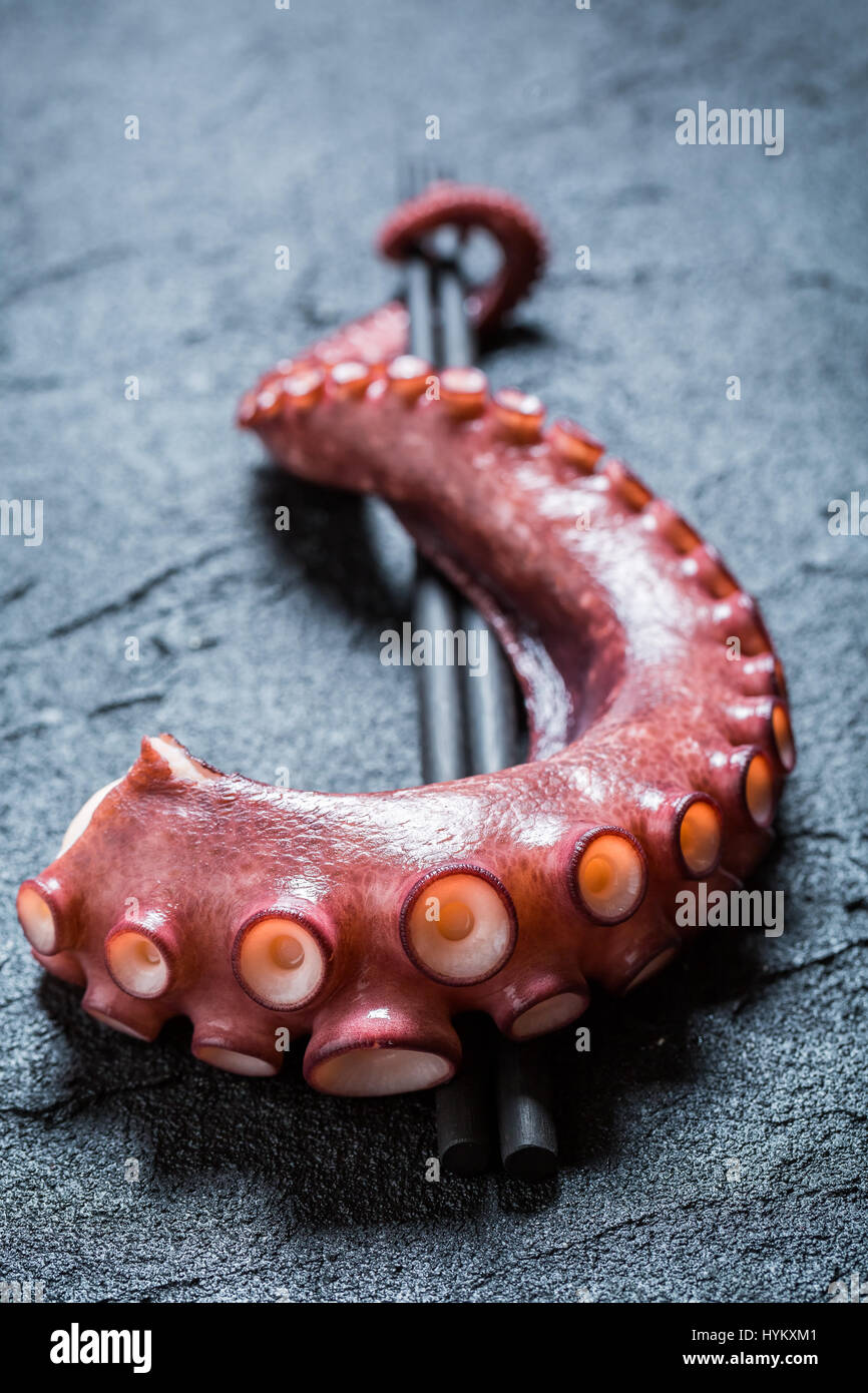Octopus tentacle wrapped hi-res stock photography and images - Alamy