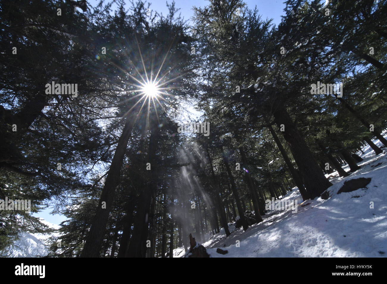 Sangla Valley, Kinnaur, Himachal Pradesh, India Stock Photo - Alamy