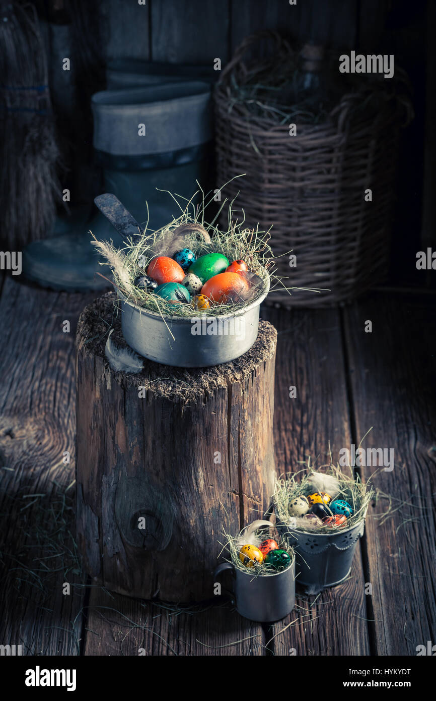 Quail and hen eggs for Easter with hay Stock Photo - Alamy