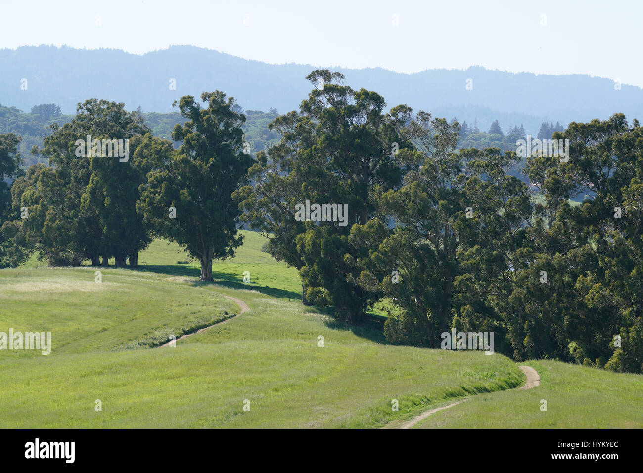 Silicon Valley Landscape as seen from the Pearson-Arastradero Preserve ...