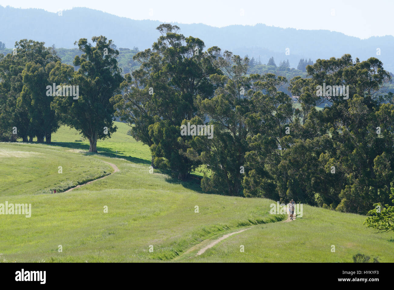 Silicon Valley Landscape as seen from the Pearson-Arastradero Preserve ...