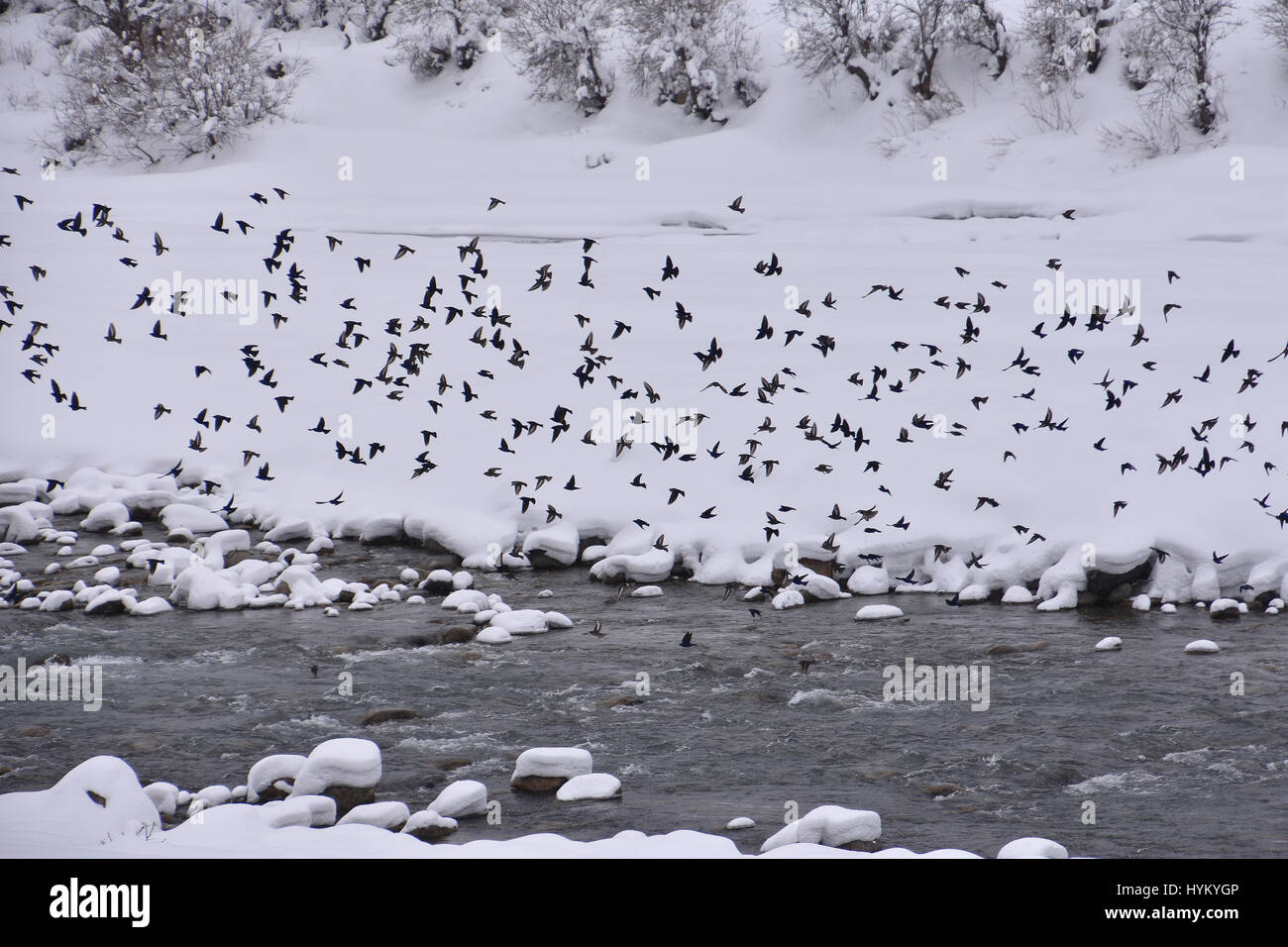 Winter landscape in the Himalayas, Rakcham, Sangla Valley, Himachal ...