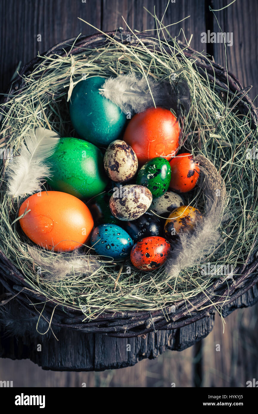Quail and hen Easter eggs in the rustic cottage Stock Photo - Alamy