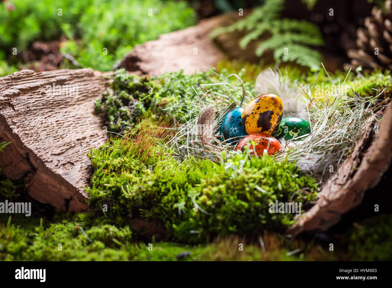 Enjoy your Easter time in the green countryside Stock Photo - Alamy